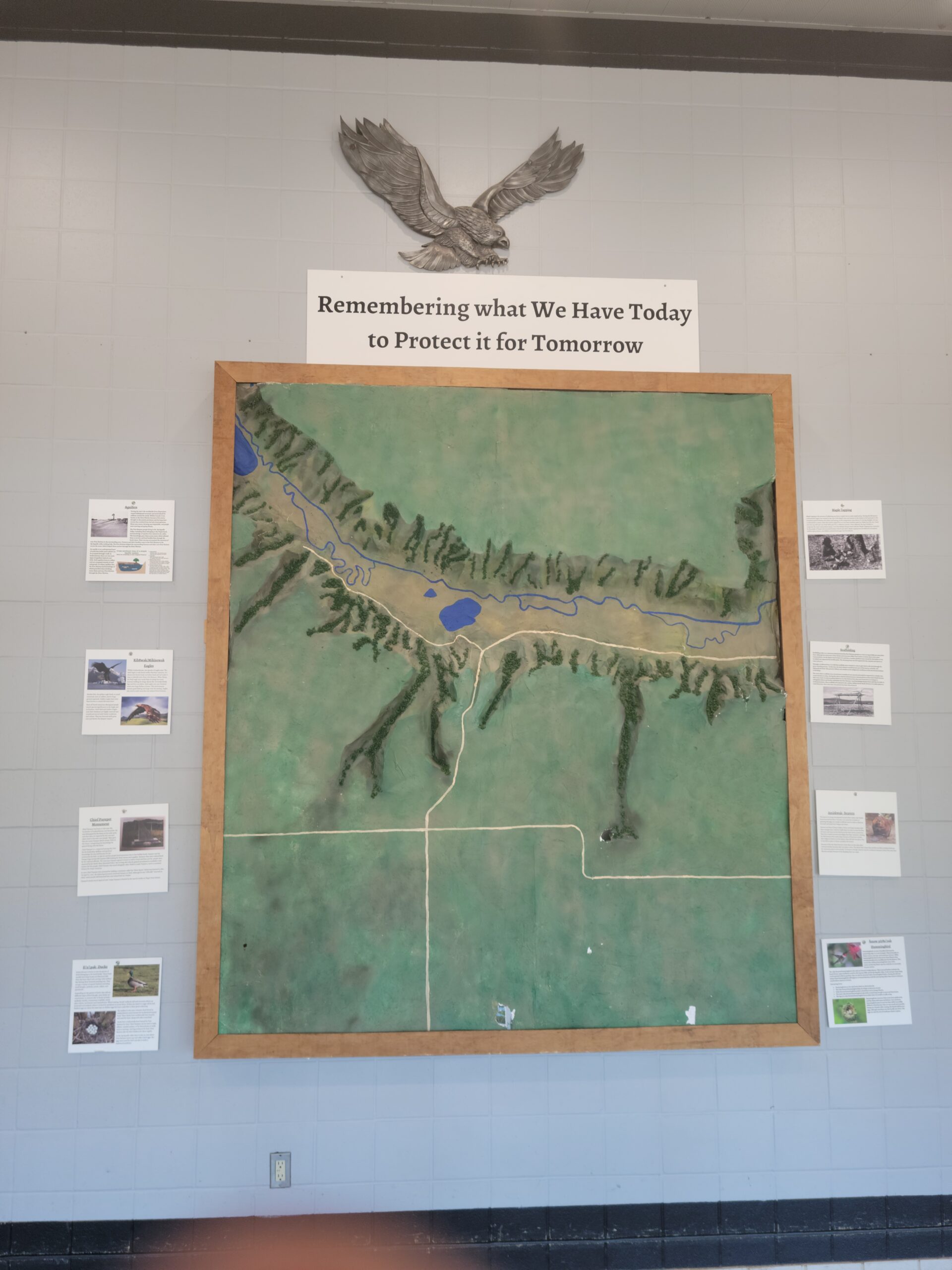 About Us – Chief Payepot School